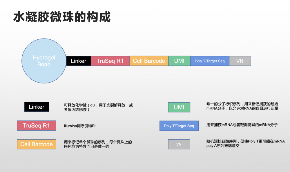 微流控技术前沿：如何制作适用于10X Genomics体系的barcode gel beads？ - FluidicLab微流控实验室_值得您 ...
