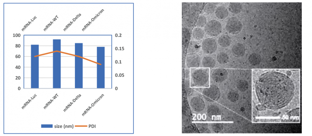 微流控LNP(脂质纳米颗粒)制备系统-纳米药物合成mRNA制备 - FluidicLab微流控实验室_值得您信赖的微流控合作伙伴