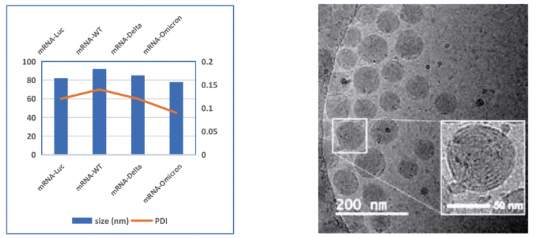 微流控LNP(脂质纳米颗粒)制备系统-纳米药物合成mRNA制备 - FluidicLab微流控实验室_值得您信赖的微流控合作伙伴