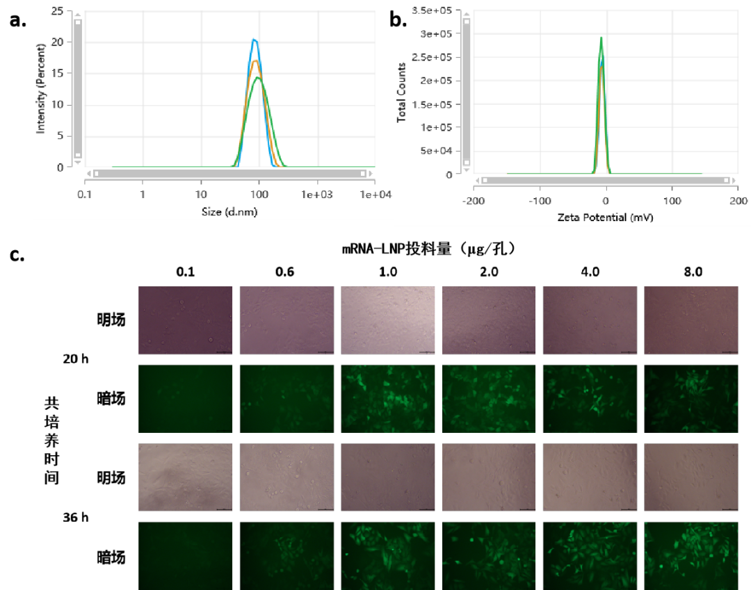 FluidicLab LNP(脂质纳米颗粒)制备系统助力客户东纳生物mRNA递送技术研究 - FluidicLab微流控实验室_值得您信赖的微 ...